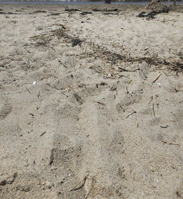 CLINTON TOWN BEACH - Updated September 2025 - 11 Photos - Waterside Ln ...