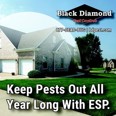 BLACK DIAMOND TERMITE & PEST CONTROL - Updated December 2025 - 10 ...