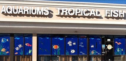 THE FISH PLACE - Updated September 2024 - 17 Photos & 30 Reviews - 1728 ...