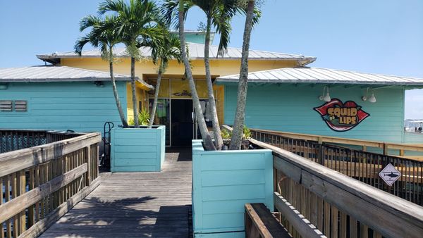 SQUID LIPS - Updated July 2025 - 571 Photos & 699 Reviews - 1660 N ...