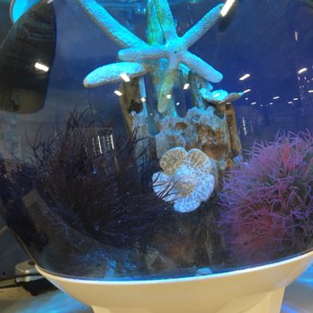 THAT FISH PLACE - THAT PET PLACE - Updated July 2025 - 149 Photos & 149 ...