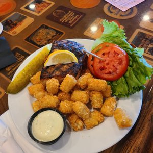 COASTERS TAPHOUSE - 376 Photos & 348 Reviews - 5675 N Atlantic Ave ...