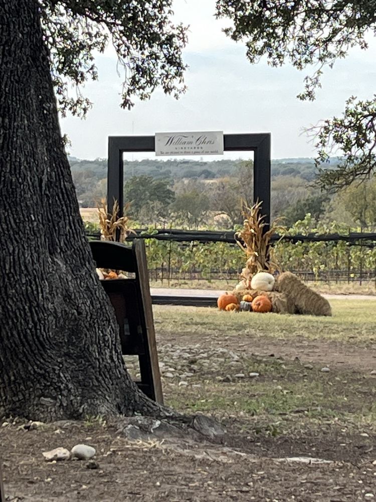 SPEEDY BEA’Z - Updated February 2025 - Comfort, Texas - Wine Tours ...