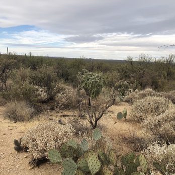 DOUGLAS SPRINGS TRAILHEAD - SAGUARO NATIONAL PARK - Updated October ...