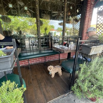 WHITE WOLF CAFE - Updated December 2024 - 1141 Photos & 924 Reviews ...