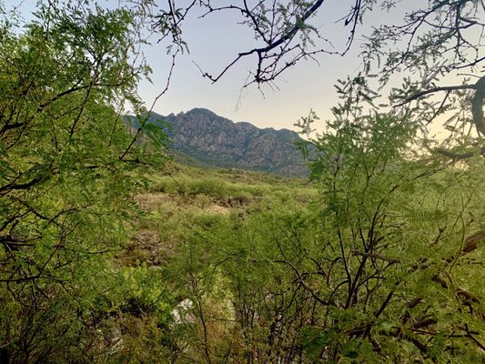 MADERA CANYON - Updated September 2024 - 105 Photos & 20 Reviews ...