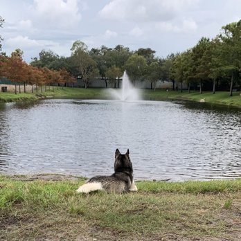 ATLANTIC BEACH DOG PARK - Updated November 2025 - 268 Aquatic Dr ...