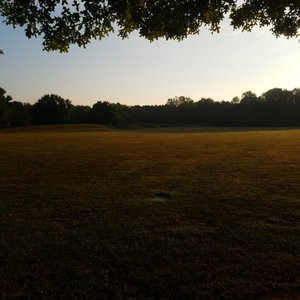 NOONDAY PARK - Updated July 2025 - 20 Photos & 11 Reviews - 489 Hawkins ...