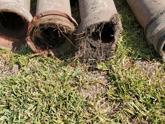 RAPID ACTION ROOTER - Updated September 2024 - 180 Photos & 490 Reviews ...