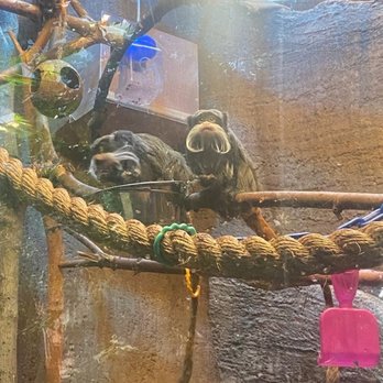 STATEN ISLAND ZOO - Updated August 2024 - 300 Photos & 90 Reviews - 614 ...