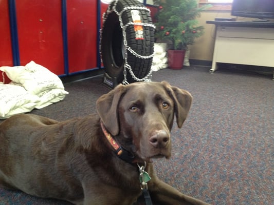 TIRE-RAMA - Updated January 2026 - 13 Photos & 26 Reviews - 3575 W ...