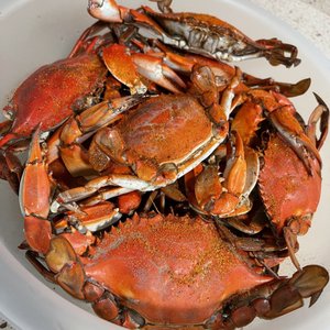 EARP’S SEAFOOD MARKET - 35 Photos & 33 Reviews - 1414 S Saunders St ...