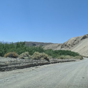 CHINA RANCH DATE FARM - 389 Photos & 104 Reviews - 8 China Ranch Rd ...