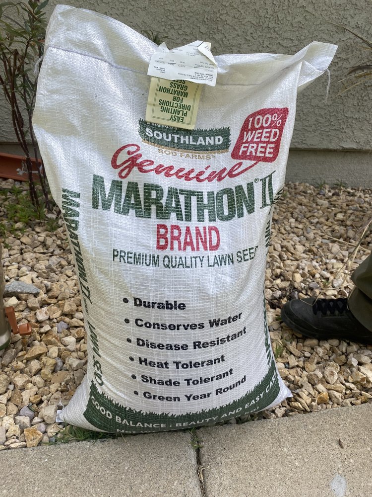 FARIAS LANDSCAPE & DESIGN - Updated December 2025 - 15 Photos - Pico Rivera, California - Tree ...