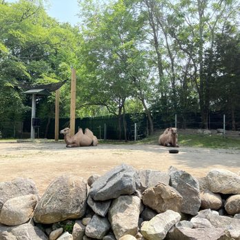 ROGER WILLIAMS PARK ZOO - Updated September 2024 - 1157 Photos & 295 ...