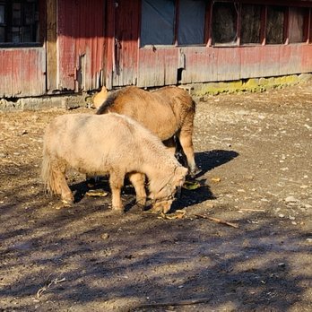 JONES FARM & COUNTRY STORE - Updated December 2025 - 288 Photos & 191 ...