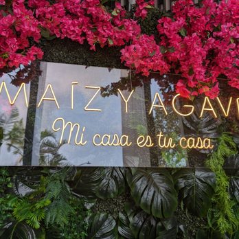 MAIZ Y AGAVE - Updated June 2024 - 293 Photos & 127 Reviews - 375 ...