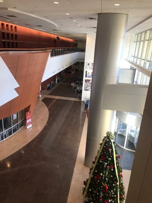 UT HEALTH PHYSICIANS - MEDICAL ARTS & RESEARCH CENTER - MARC - Updated ...
