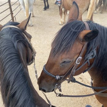 MACDONALD’S RANCH - Updated March 2025 - 513 Photos & 284 Reviews ...