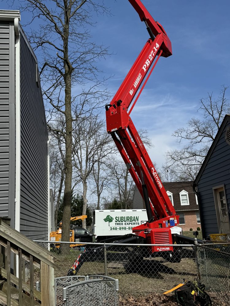 SUBURBAN TREE EXPERTS - Updated November 2025 - 11 Photos - Pasadena ...