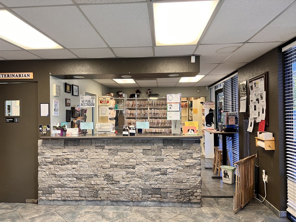 SAUGUS ANIMAL HOSPITAL - Updated January 2026 - 49 Photos & 167 Reviews ...