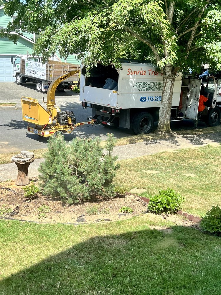SUNRISE TREE AND YARD - Updated July 2025 - Request a Quote - Lynnwood ...