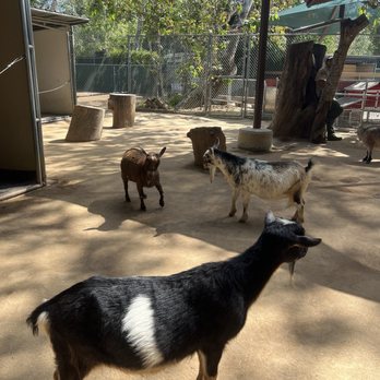 OC ZOO IRVINE REGIONAL PARK - Updated November 2024 - 49 Photos & 23 ...