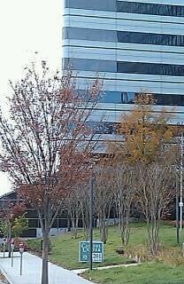 CAPITAL CENTER BUILDING MANAGEMENT - 1201 Main St, Columbia, SC - Yelp