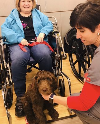 ST. JAMES REHABILITATION & HEALTHCARE CENTER - Updated September 2025 ...