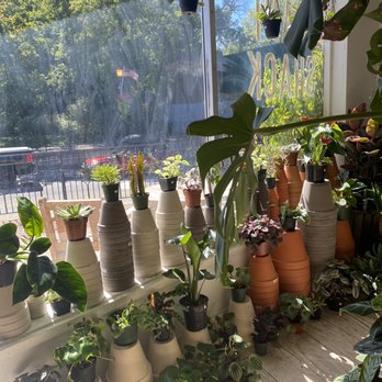 THE PLANT SHACK - Updated January 2026 - 41 Photos - 618 Main St, East ...