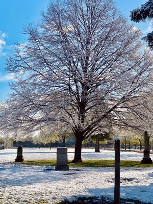 TRINITY CEMETERY - Updated October 2025 - 5210 Mount Elliott St ...