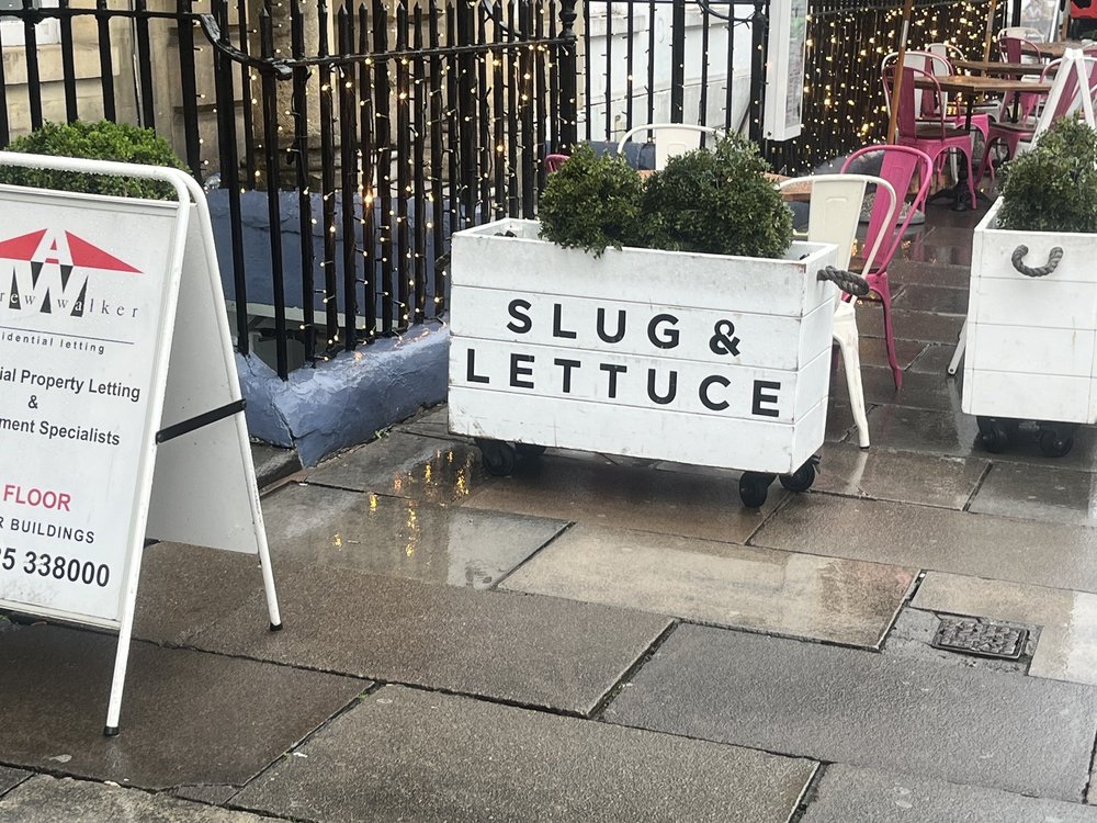 SLUG AND LETTUCE - 5-6 Edgar Buildings, Bath, United Kingdom - Pubs ...