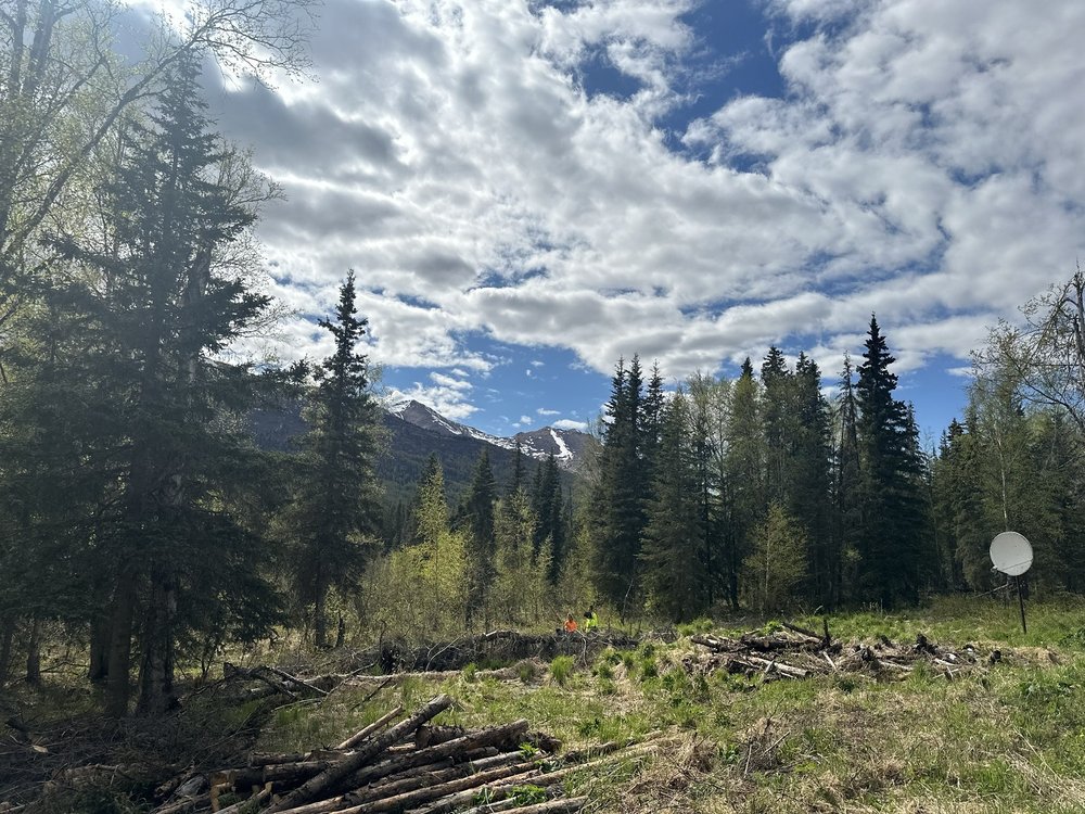 OCEAN BREEZE TREE SERVICE - Updated September 2025 - Anchorage, Alaska ...