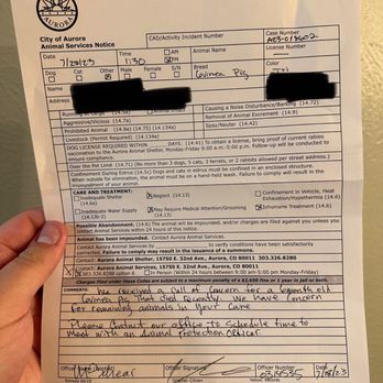 VCA ALAMEDA EAST VETERINARY HOSPITAL - Updated April 2025 - 86 Photos ...