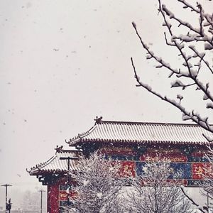 CHINATOWN SUPERMARKET - 900 Photos & 161 Reviews - 3390 South State St ...