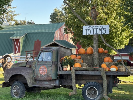 TIM’S PUMPKIN PATCH - Updated December 2025 - 132 Photos & 45 Reviews - 2901 Rose Hill Rd ...