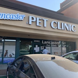 911 VET CARE - Updated August 2025 - 97 Photos & 309 Reviews - 42053 ...