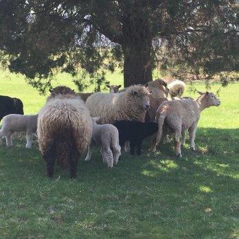 HOWELL LIVING HISTORY FARM - Updated December 2025 - 46 Photos & 21 ...