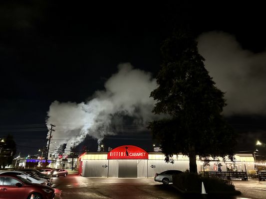 KITTENS CABARET - Updated January 2026 - 16 Photos & 37 Reviews - 5800 ...