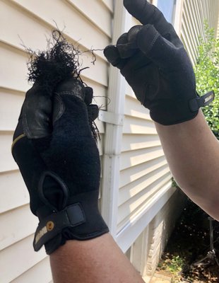 Norfolk Air Heating, Cooling, Plumbing & Electrical - Updated October ...