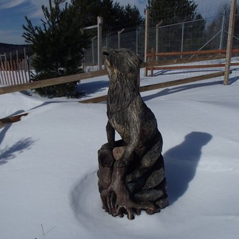 WOLF MOUNTAIN NATURE CENTER - Updated November 2025 - 27 Photos - 562 ...