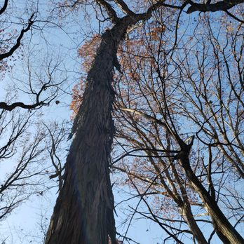 BUSSE WOODS - Updated March 2026 - 413 Photos & 73 Reviews - E Higgins ...