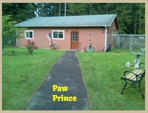 PAW PRINCE - Updated June 2026 - 14 Reviews - 239 Robinson Rd, Port ...