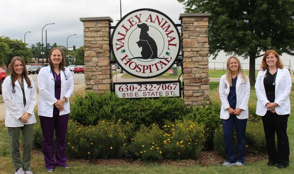 VALLEY ANIMAL HOSPITAL - Updated December 2025 - 29 Photos & 34 Reviews ...