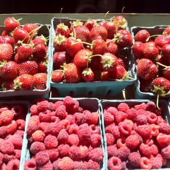 BERRY PATCH FARMS - Updated November 2025 - 47 Photos & 42 Reviews ...