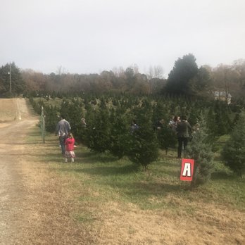 THOMPSON’S TREE FARM - Updated October 2025 - 33 Photos & 13 Reviews ...