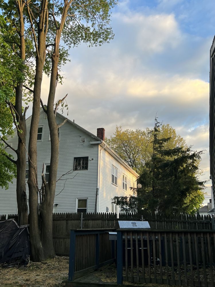 BELLO JARDIN TREE SERVICES - Updated December 2025 - 18 Photos - North ...