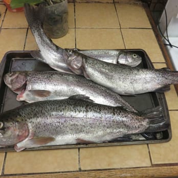 JESS RANCH LAKES - RECREATIONAL FISHING - Updated December 2025 - 74 ...