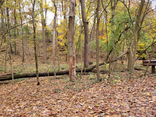 OVERBROOK RAVINE PARK - Updated October 2025 - 100 Overbrook Dr ...