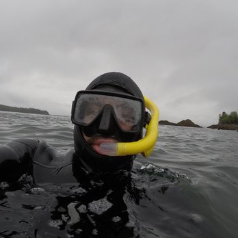 SNORKEL ALASKA - Updated December 2025 - 45 Photos & 51 Reviews - 4031 ...